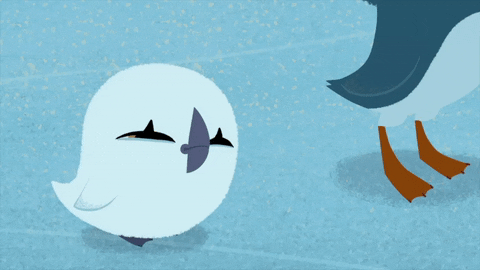 #Puffin #Rock #Puffinrock #Baba #Sleepy #Puffling GIF by Puffin Rock ...