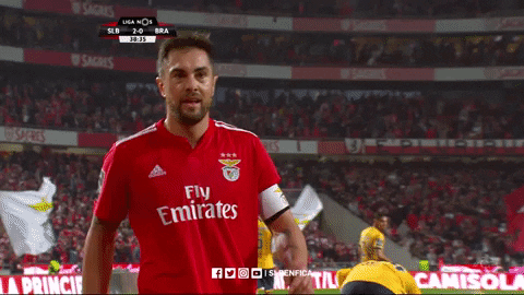 Sl Benfica Salute GIF by Sport Lisboa e Benfica - Find & Share on GIPHY
