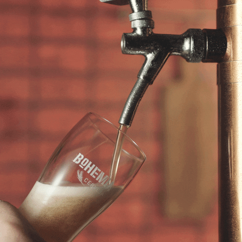 Festa Brinde GIF - Find & Share on GIPHY