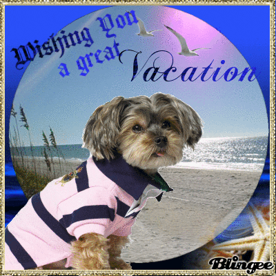 Vacation GIFs - Find & Share on GIPHY