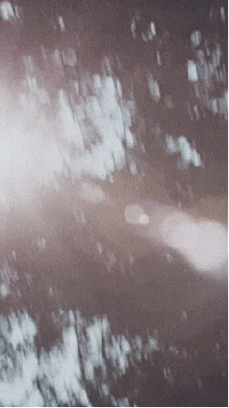 Nature GIFs - Find & Share on GIPHY