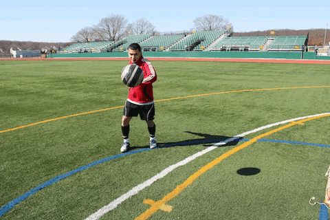 Soccer Field GIFs - Find & Share on GIPHY