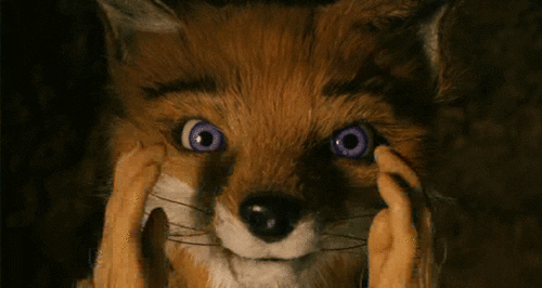 Fox GIF - Find & Share on GIPHY