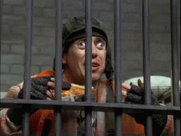 Front GIF - Find & Share on GIPHY