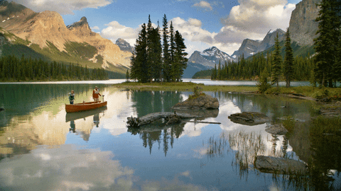 Image Canada GIF - Find & Share on GIPHY