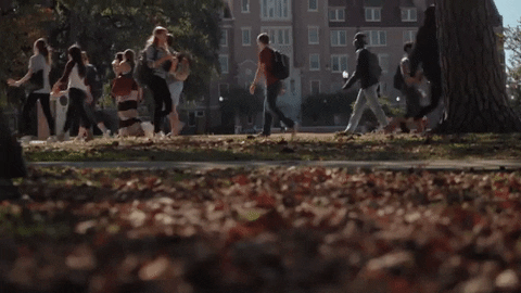 College Class GIF by Florida State University - Find & Share on GIPHY