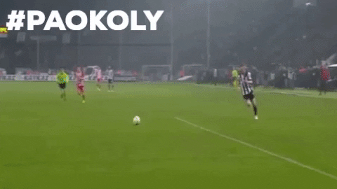Football Paokfamily GIF by PAOK FC - Find & Share on GIPHY