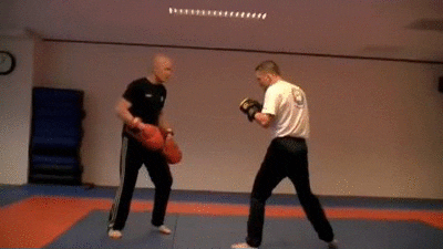 Kickboxing GIF - Find & Share on GIPHY