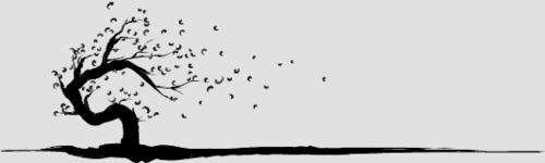 Tree GIF - Find & Share on GIPHY