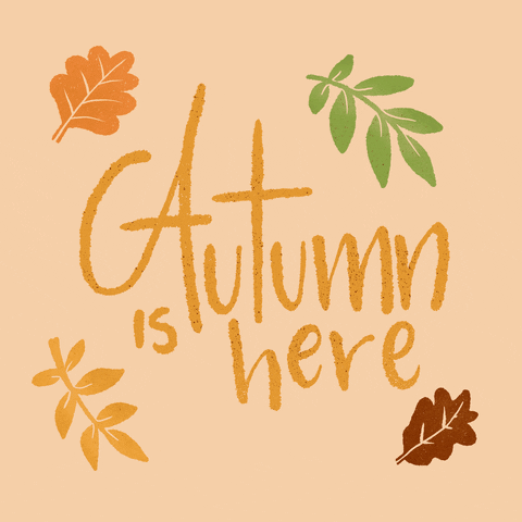 Fall Season Holiday GIF - Find & Share on GIPHY