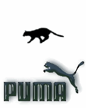 Puma GIF - Find & Share on GIPHY