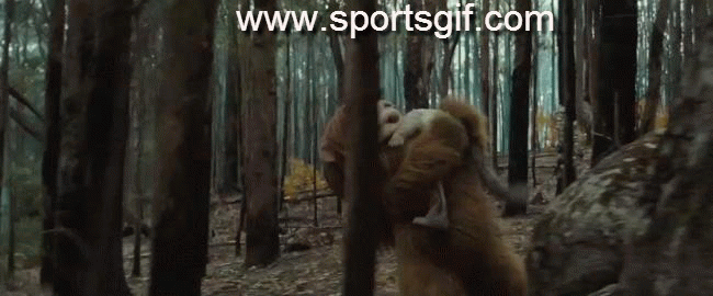 Wild Things GIF - Find & Share on GIPHY