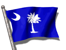 South Carolina GIF - Find & Share on GIPHY
