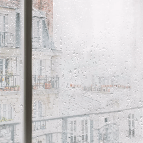Rain Paris GIF by mylittleparis - Find & Share on GIPHY
