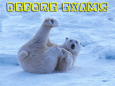 Exams GIF - Find & Share on GIPHY