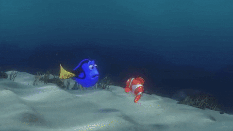 Finding Nemo GIFs - Find & Share on GIPHY