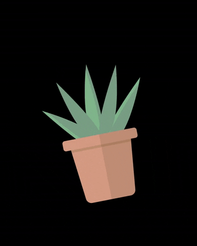 Plants GIF - Find & Share on GIPHY