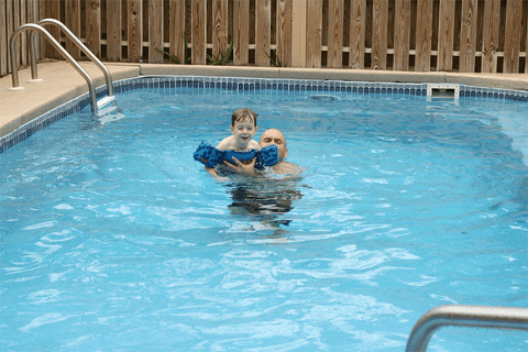 Pool GIF - Find & Share on GIPHY