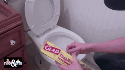 Prank Toilet Find And Share On Giphy