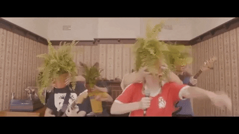 Bad Timing Dancing GIF by Polyvinyl Records - Find & Share on GIPHY
