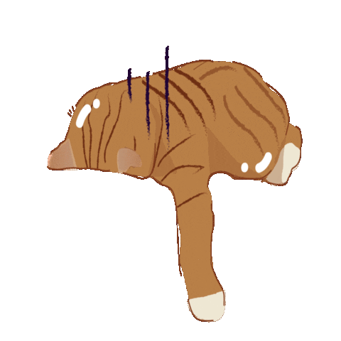 Sad Work From Home Sticker for iOS & Android | GIPHY