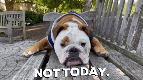 Butler Bulldogs Dog GIF by Butler University - Find & Share on GIPHY