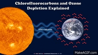 Cfc GIF - Find & Share on GIPHY