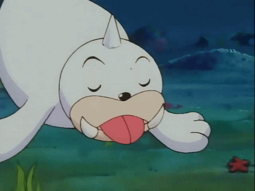 Pokemon Seel GIF - Find & Share on GIPHY