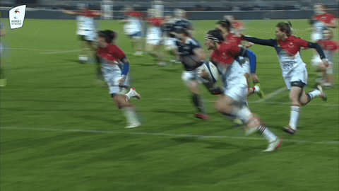 6 Nations Rugby GIF by Guinness Six Nations - Find & Share on GIPHY