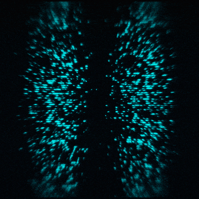 Glitch Glow GIF by Erica Anderson - Find & Share on GIPHY