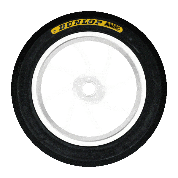 Fun Love Sticker by Dunlop Italia for iOS & Android | GIPHY