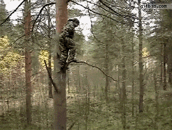 Stock Market Crash GIFs - Get the best GIF on GIPHY
