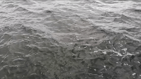 Water Waves GIF by IntelligentMobiles GmbH - Find & Share on GIPHY