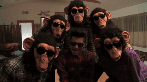Monkey Business GIF - Find & Share on GIPHY