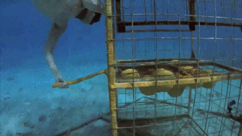 Challenge Inspiring GIF by CBS - Find & Share on GIPHY