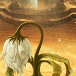 Drought GIF - Find & Share on GIPHY