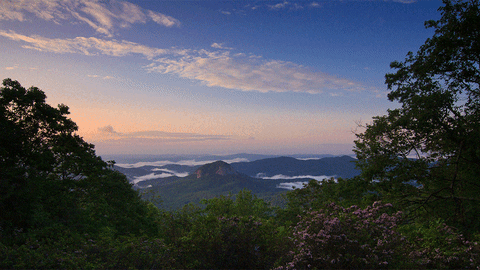 Explore The View GIF - Find & Share on GIPHY