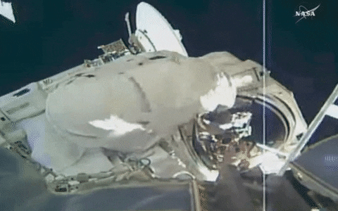 Shades Up European Space Agency GIF - Find & Share on GIPHY