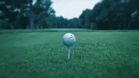 GIF by Wilson Golf - Find & Share on GIPHY