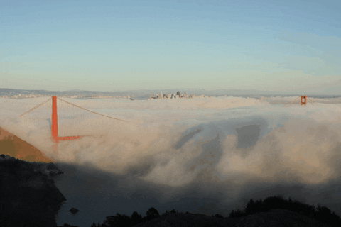 Rolling GIF - Find & Share on GIPHY