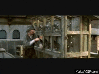 Nazism GIF - Find & Share on GIPHY