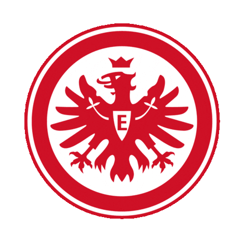 Germany Football Sticker by Bundesliga for iOS & Android | GIPHY