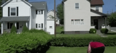 Home GIF - Find & Share on GIPHY