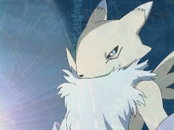 Furries GIF - Find & Share on GIPHY