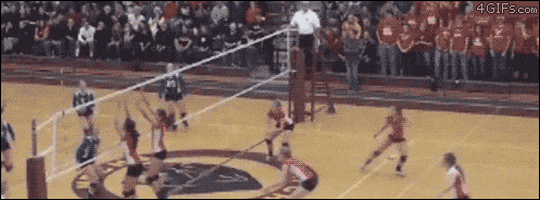 Spike Volleyball GIF - Find & Share on GIPHY