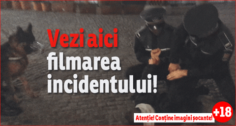 Manele GIF - Find & Share on GIPHY