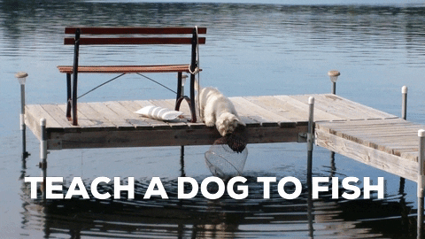 Dog Fishing GIF by Becky Chung - Find & Share on GIPHY