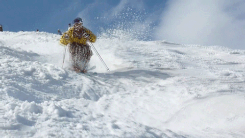 Skiing GIF - Find & Share on GIPHY