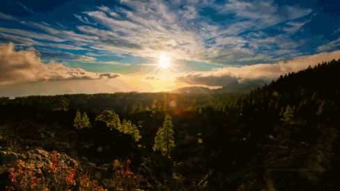 Landscape GIF - Find & Share on GIPHY