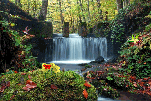 Animated Images Of Water